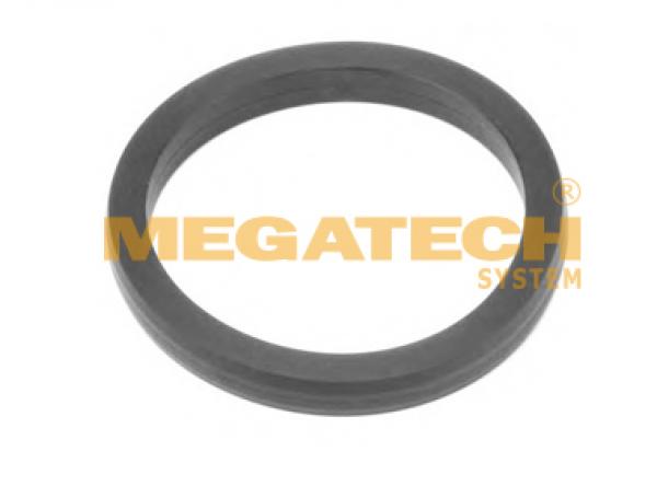 7401547254 1547254 17.1180.254 Gasket, Water Pump At Megatechsystem.com