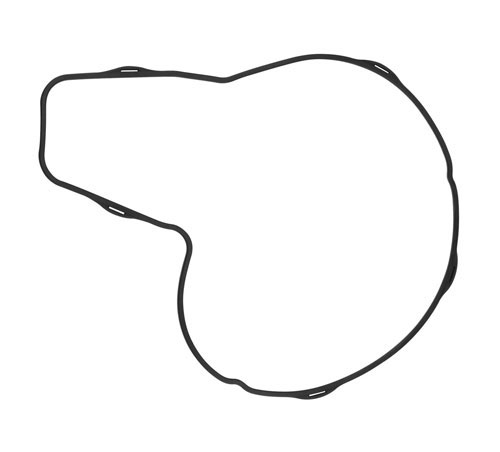 7408131097 7421415427 21415427 8131097 17.3980.427 Gasket, Water Pump ...